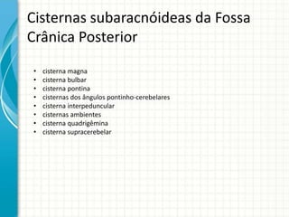 Anatomia da fossa craniana posterior FCP | PPTX