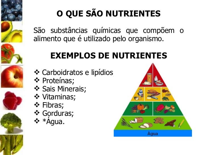 Apresentacao nutricao