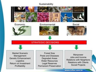 Forestry Management System - SGF | PPT