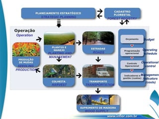 Forestry Management System - SGF | PPT