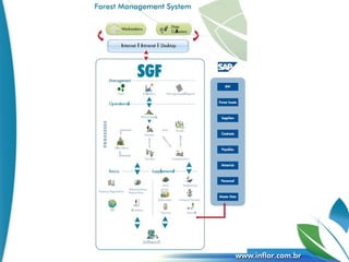 Forestry Management System - SGF | PPT