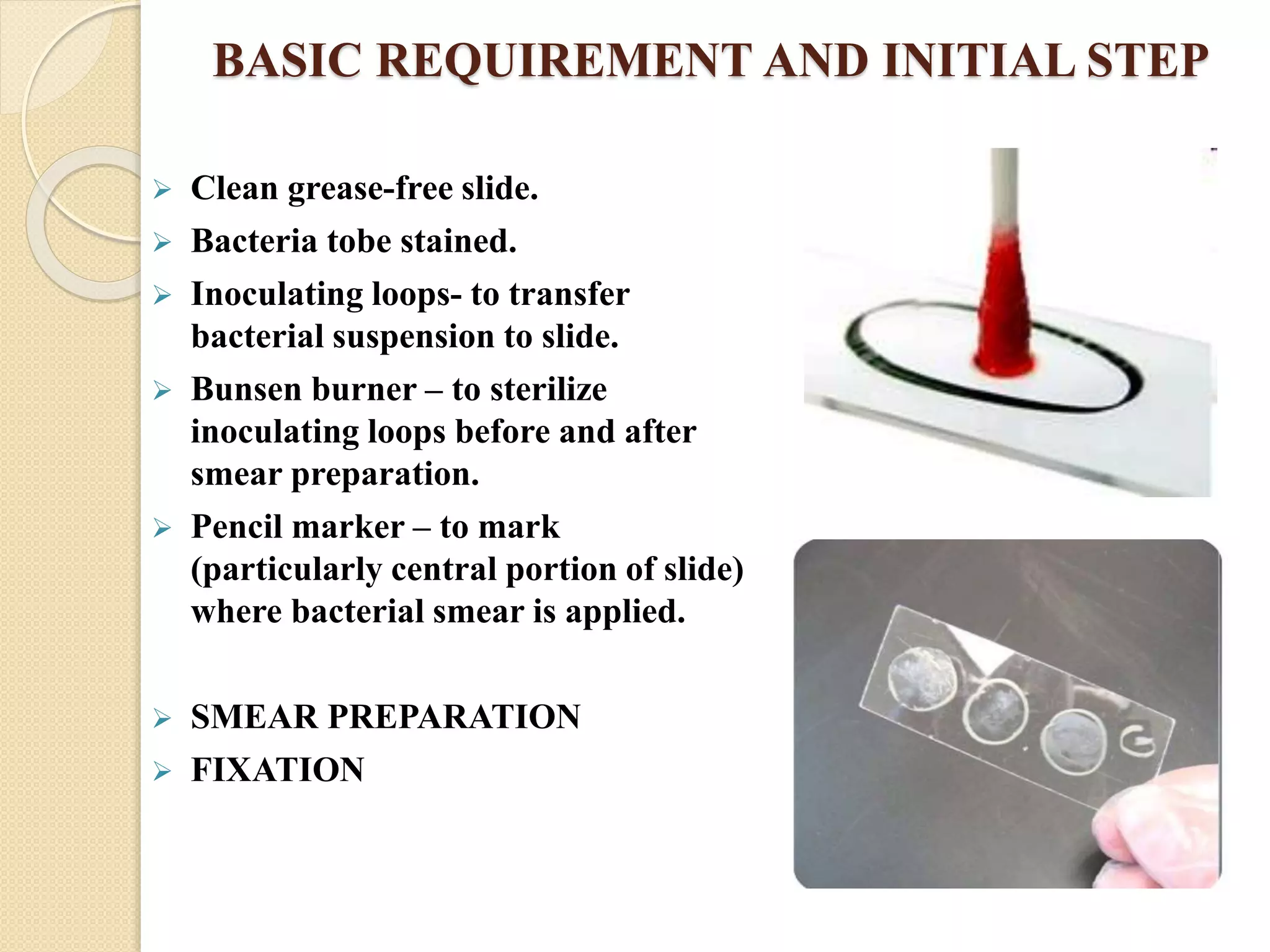A presentaion on bacterial staining | PPT