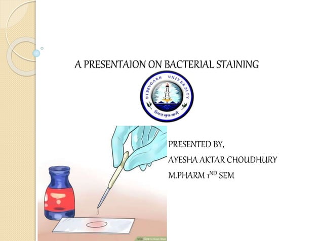 A presentaion on bacterial staining | PPT