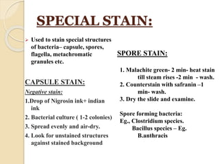 A presentaion on bacterial staining | PPT