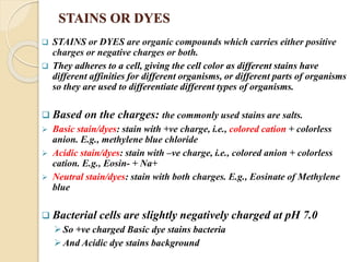 A presentaion on bacterial staining | PPT