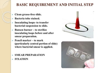 A presentaion on bacterial staining | PPT