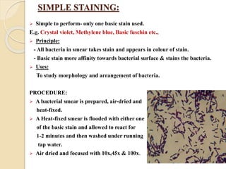 A presentaion on bacterial staining | PPT