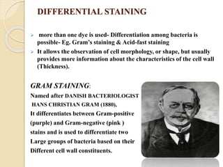 A presentaion on bacterial staining | PPTX