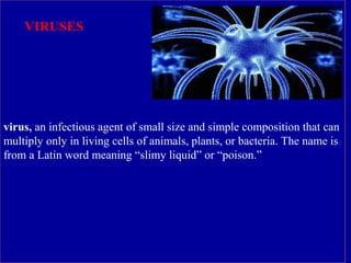 A presentaion on biological disaster | PPT