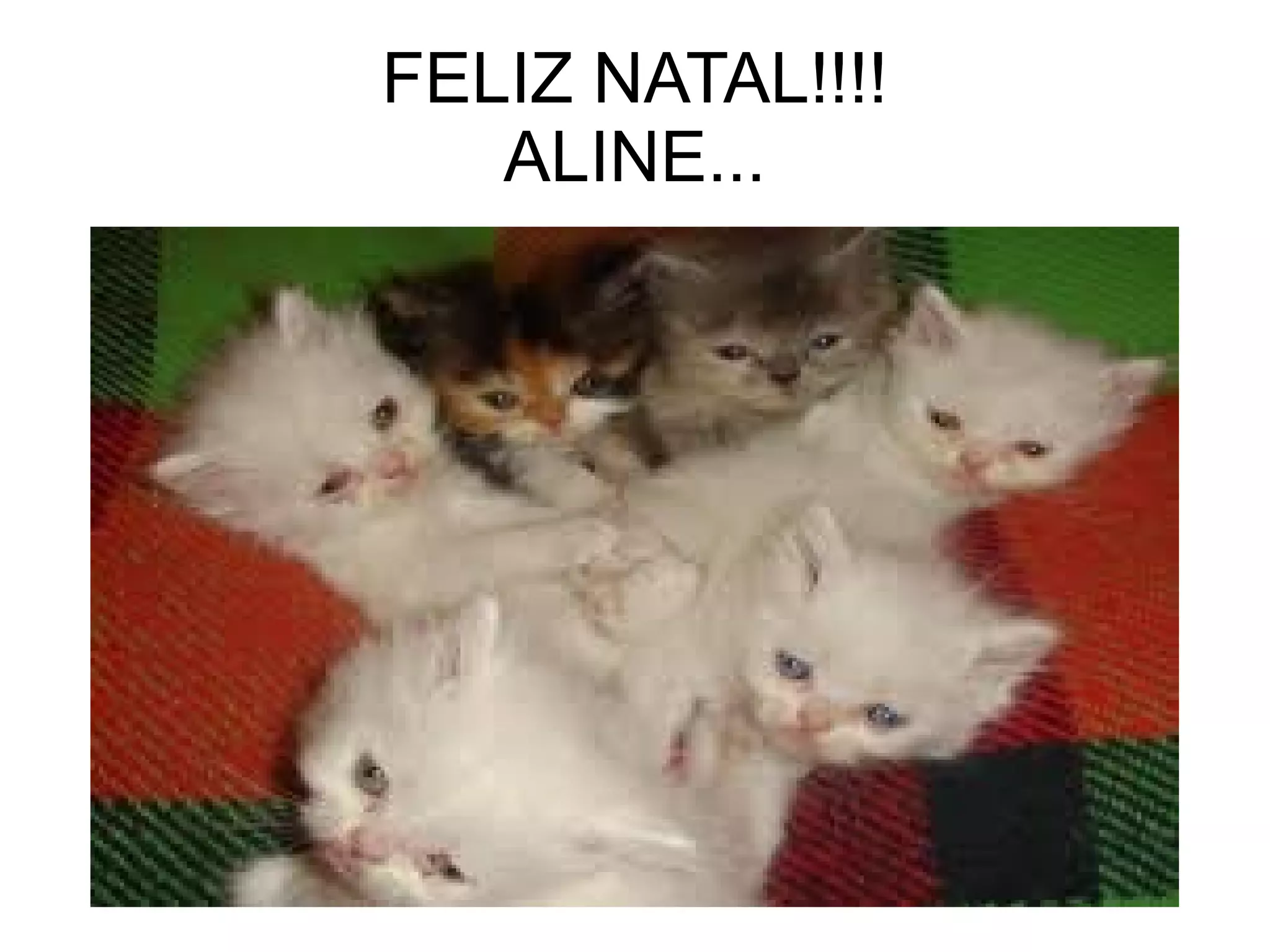 FELIZ NATAL | ODP