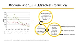 Microbial Production of 1,3-Propanediol | PPTX