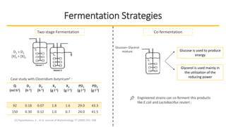 Microbial Production of 1,3-Propanediol | PPTX