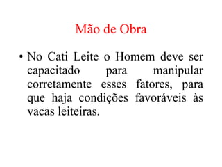 Apresentação Cati Leite | PPT