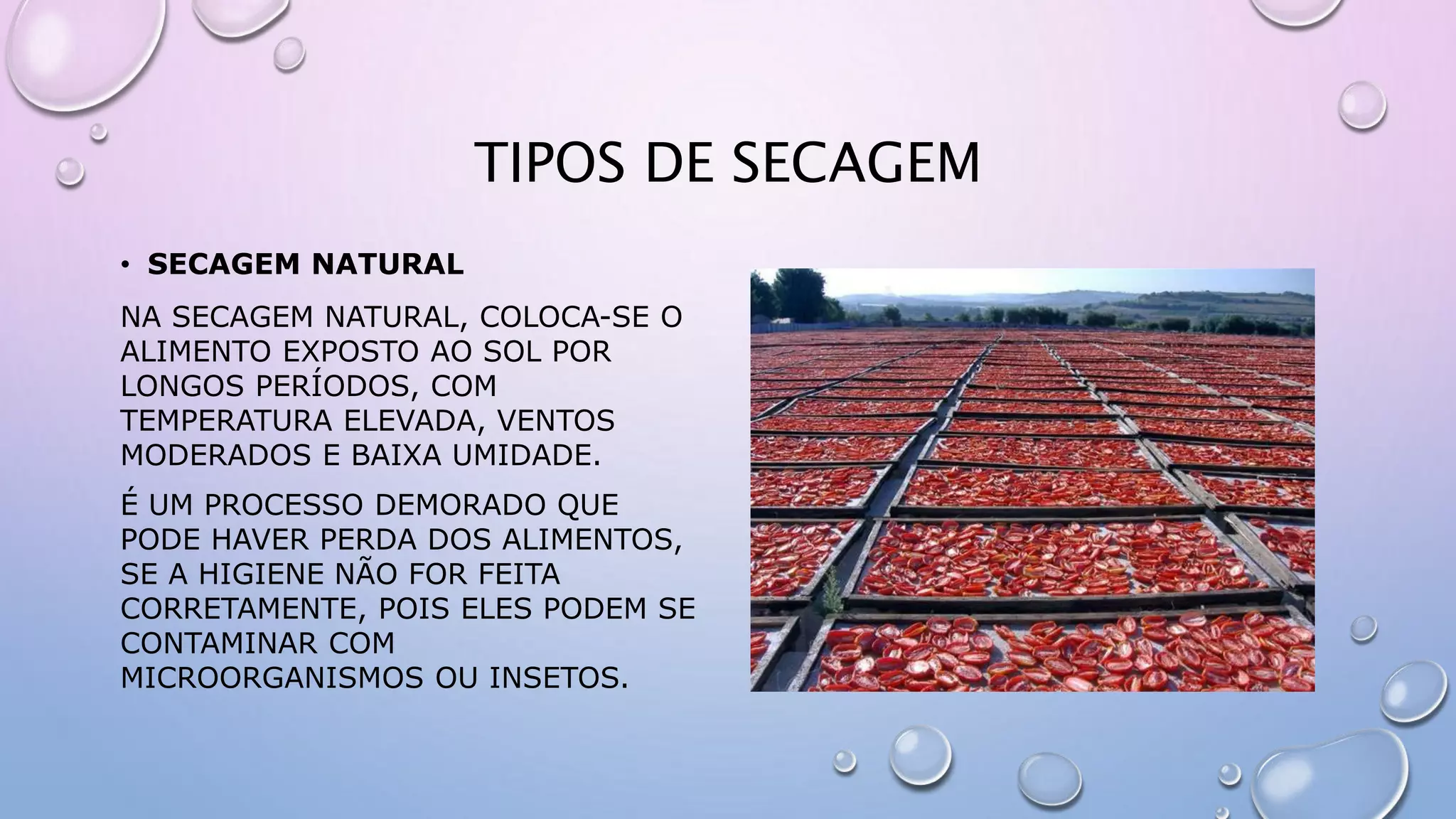 Apresentação secagem | PPTX