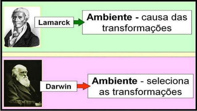 teoria evolucionista Darwin e Lamarck | PPT