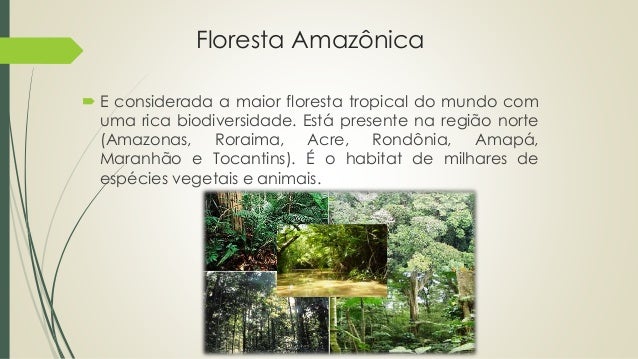 Amazônia