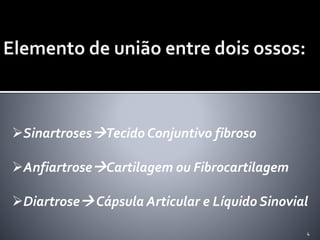 Articulacoes | PPTX