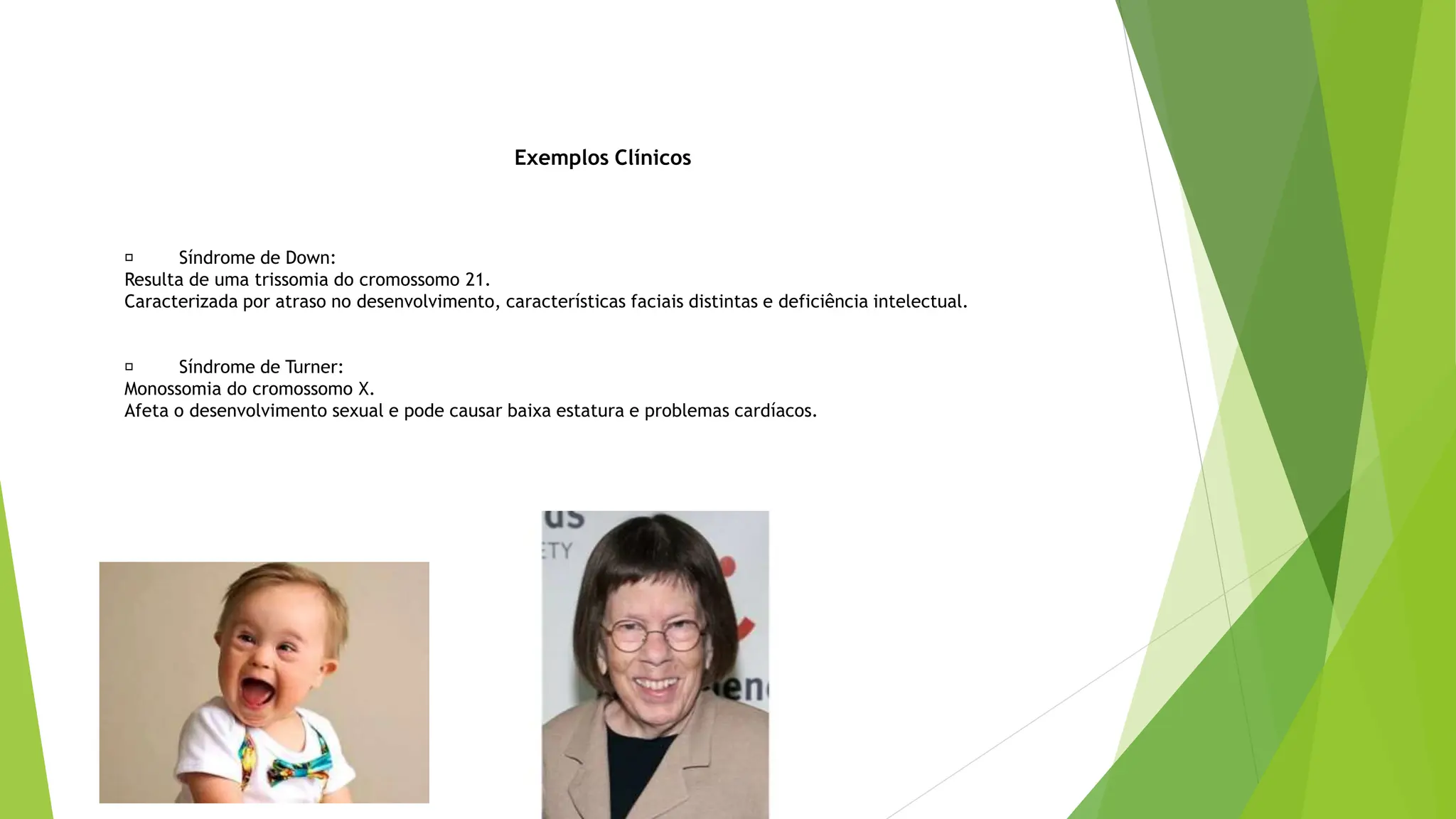 Apresentação1 e2 embriolohgias.pptx humana | PPT