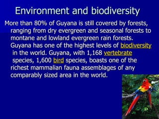 Apresentação1 guyana | PPT | South America Travel | Travel Locations