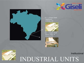 Apresentação actualizada giseli novo 2011 inglês | PPT