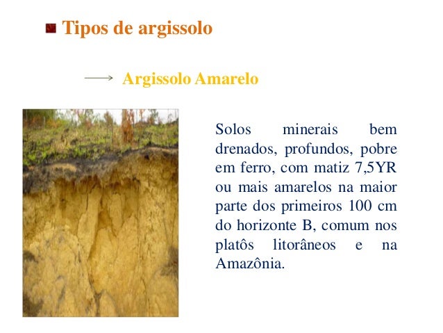 Apresentação argissolo