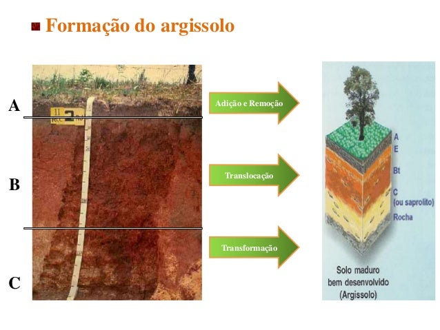 Apresentação argissolo