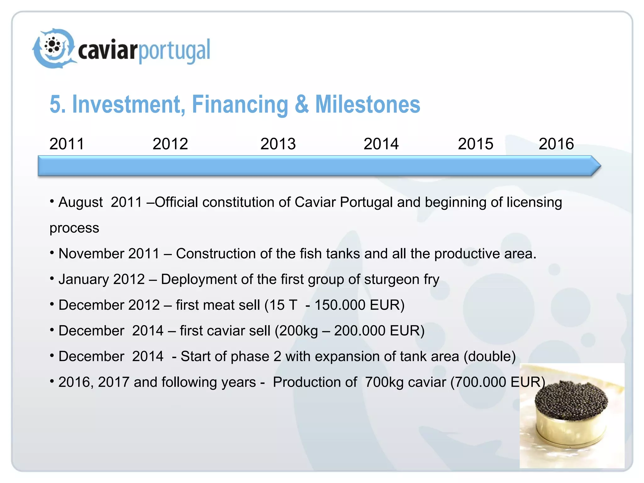 Project Caviar Portugal - Presentation | PPT
