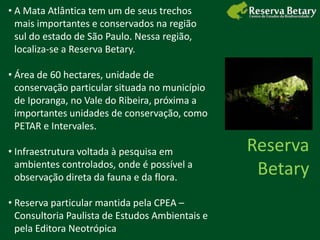 Reserva Betary | PPTX