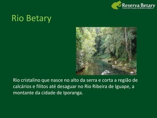 Reserva Betary | PPT