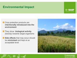 Apresentação Christoph Schneider - BASF | PPT