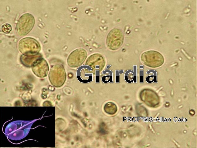Giardia
