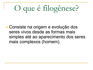 Filogenese do Sistema Nervoso | PPT