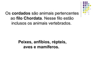Cordados - Biologia | PPT