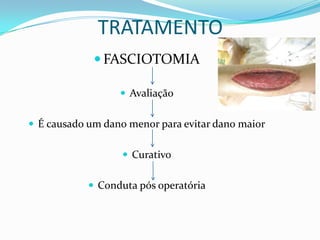 Síndrome do esmagamento | PPTX
