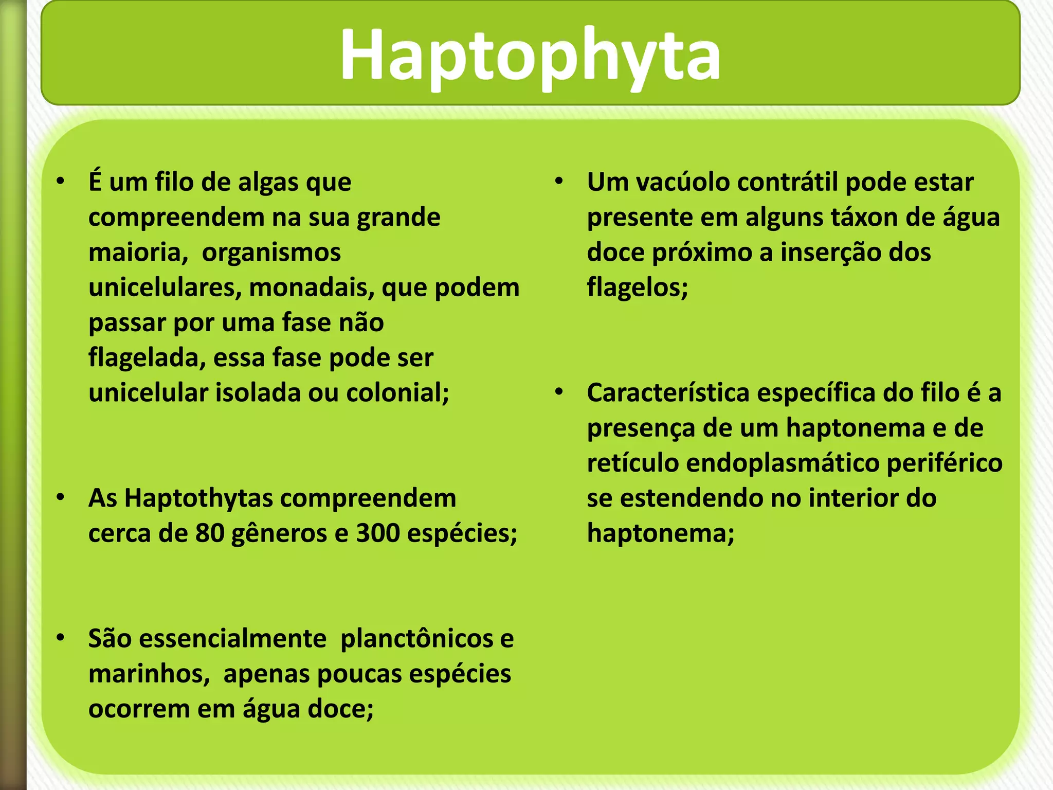 FILO HAPTOPHYTA | PPTX
