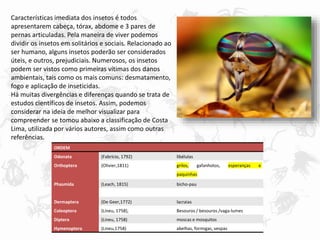 A Classe dos Insetos - Biologia | PPTX