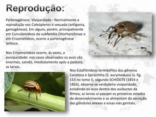 A Classe dos Insetos - Biologia | PPTX