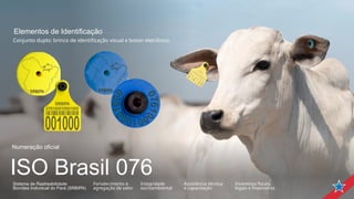 APRESENTAÇÃO novo repartimento JOHN (1).pptx