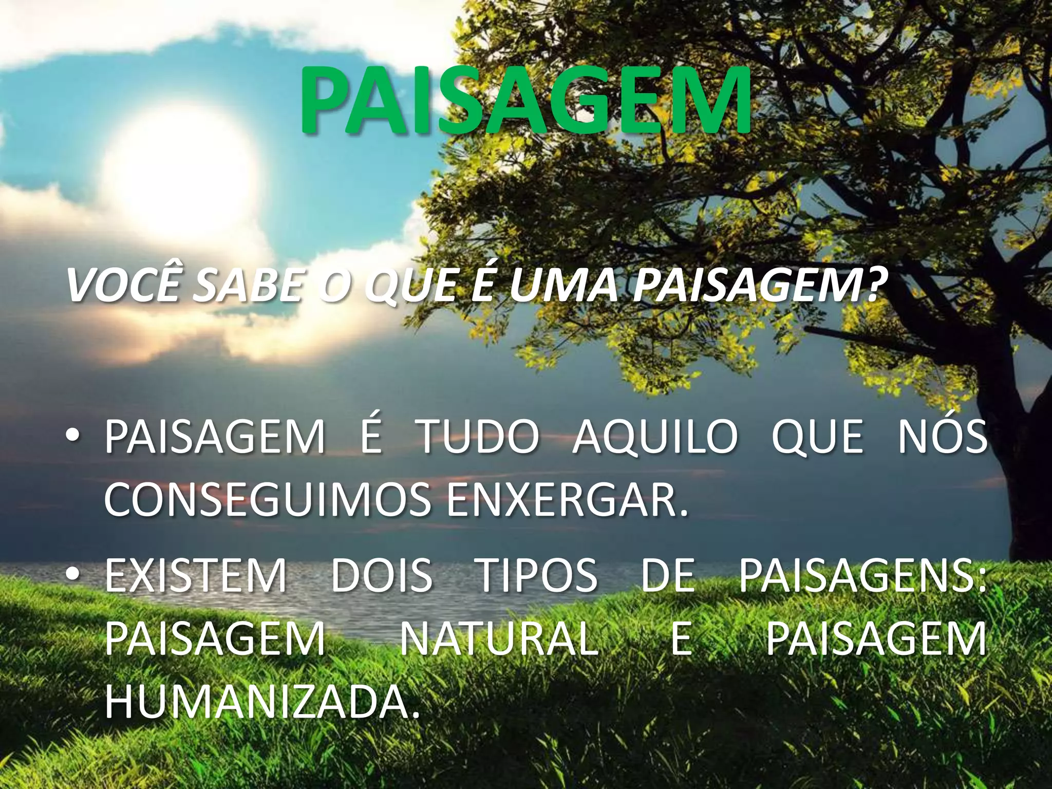 Apresentação paisagem natural x humanizada | PPTX