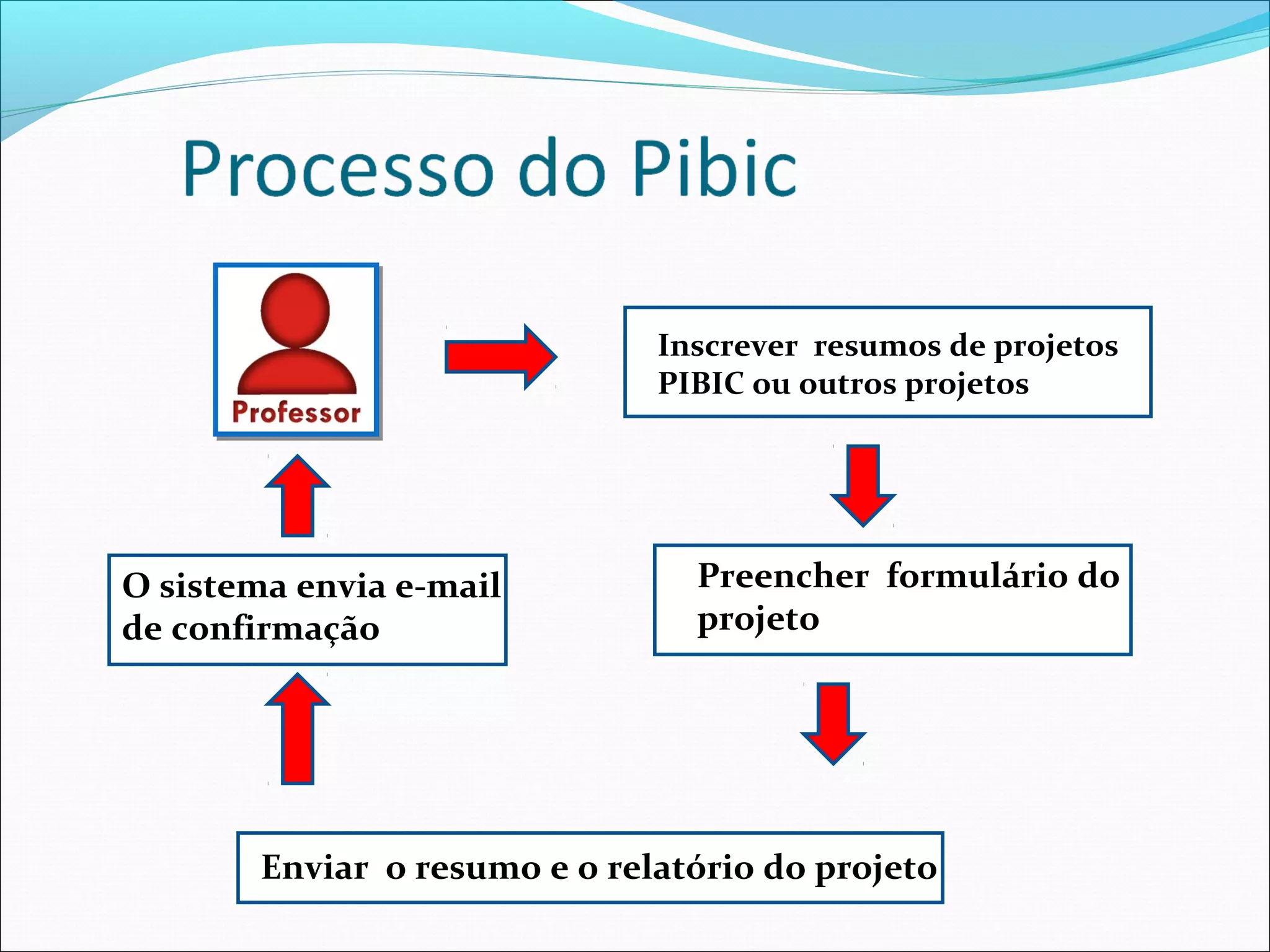 Apresentação Pibic | PPT