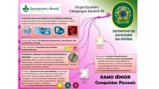 Como conquistar o "Escoteiro da Pátria" - Progressão Pessoal Sênior ...