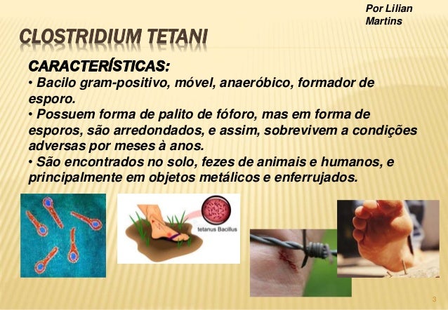 Tétano - Trabalho de microbiologia slides