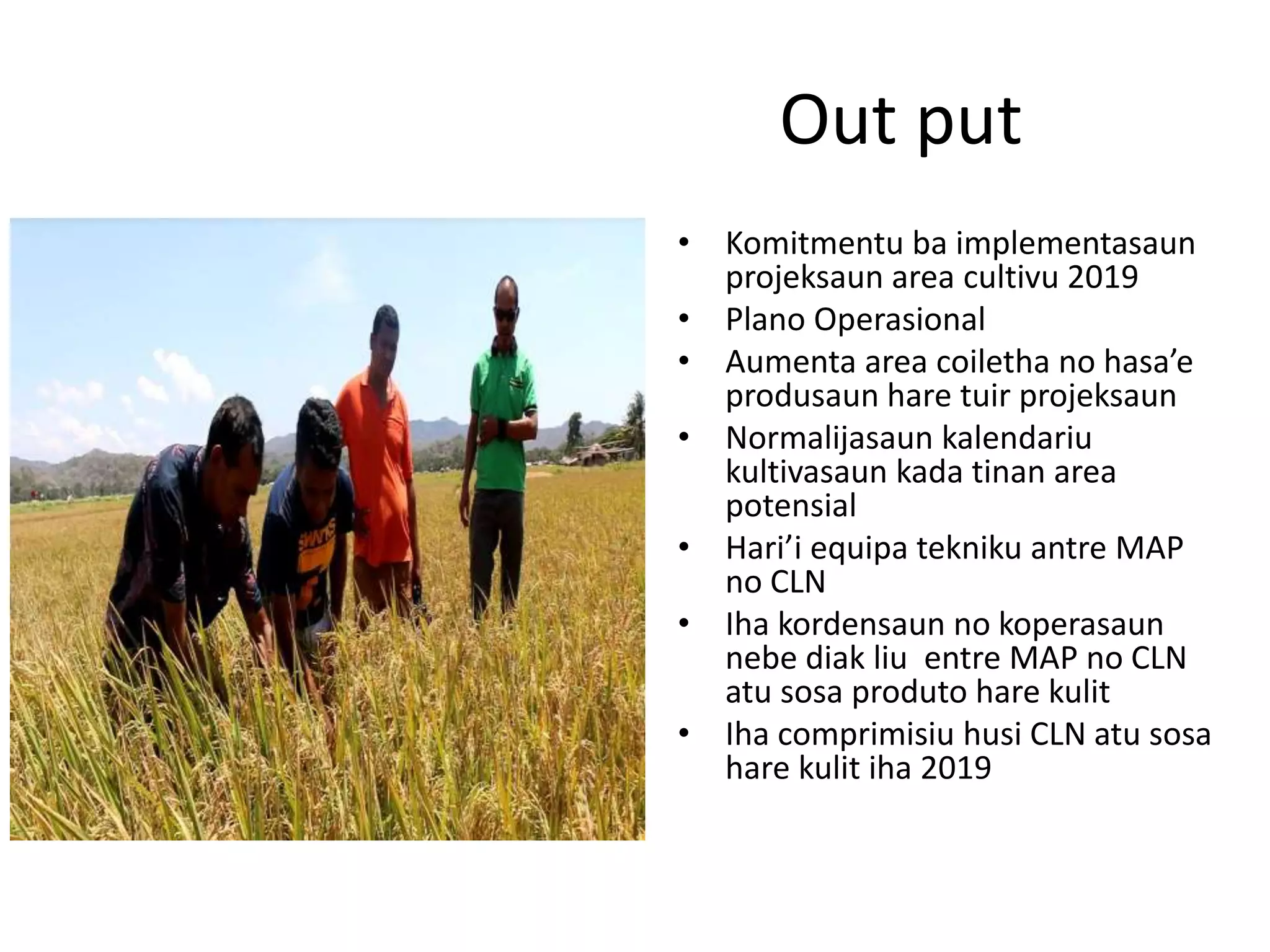 Plano Area Cultivu Hare 2019 - 2023 | PPTX