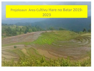 Plano Area Cultivu Hare 2019 - 2023 | PPTX