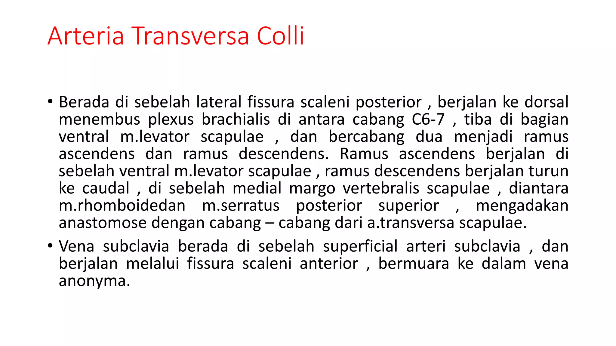 Anatomy sistem pada antebrachii-palmar | PPTX