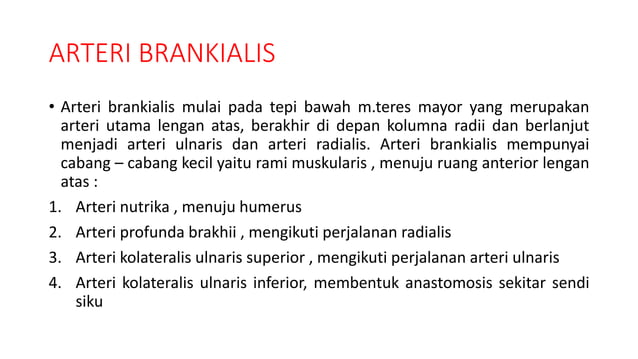 Anatomy sistem pada antebrachii-palmar | PPTX