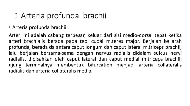 Anatomy sistem pada antebrachii-palmar | PPTX