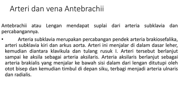 Anatomy sistem pada antebrachii-palmar | PPTX