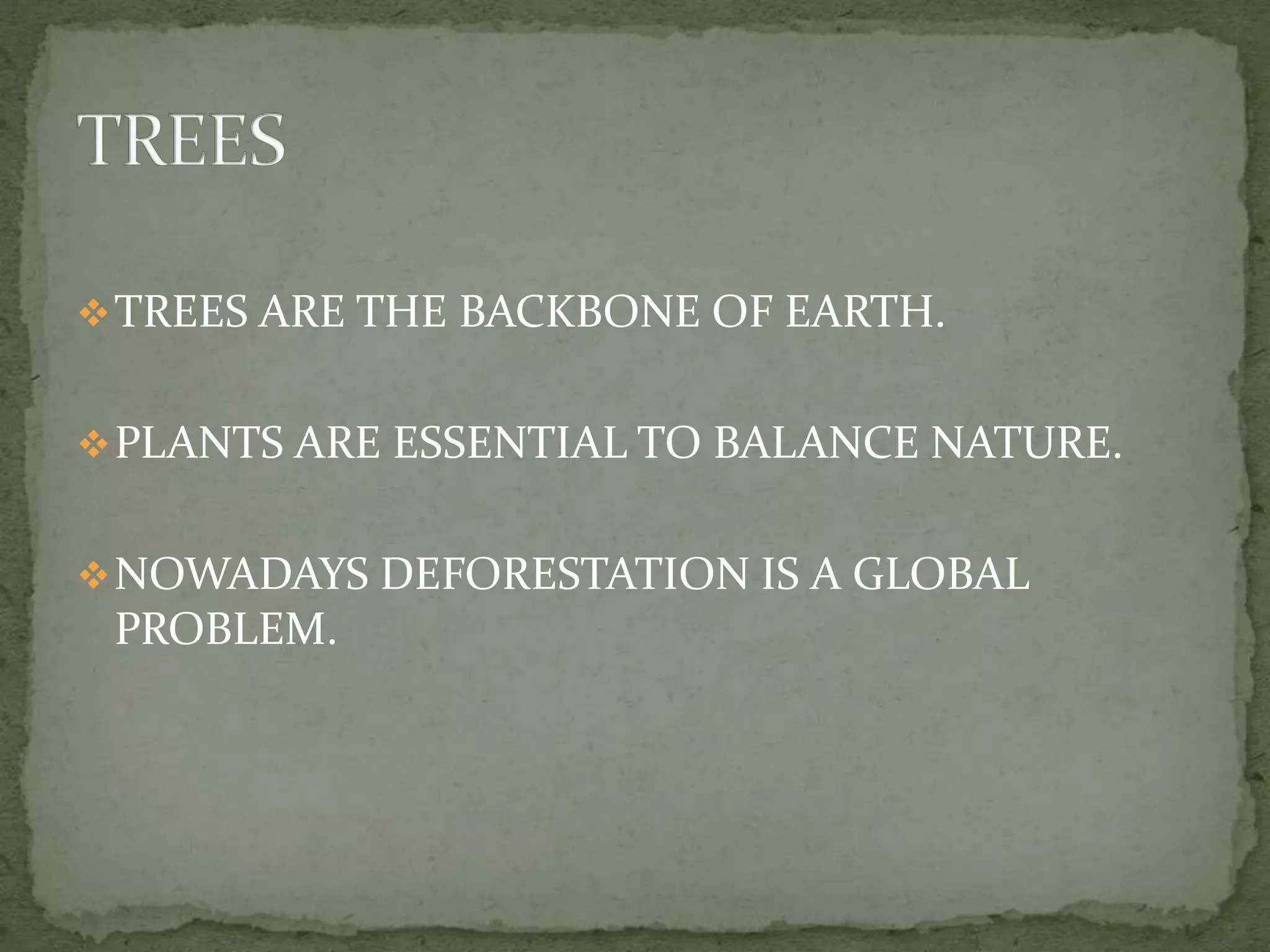 A presentation about deforestation | PPTX