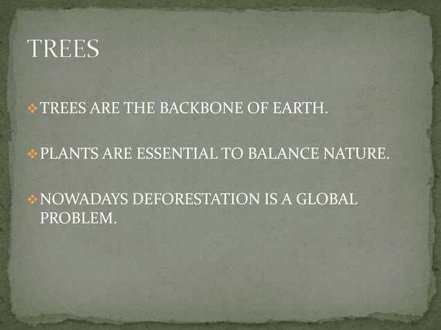 A presentation about deforestation | PPTX